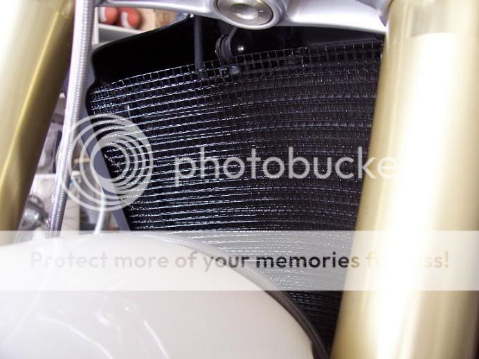 Radiator guard (homemade) | Triumph Rat Motorcycle Forums