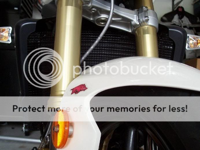 Radiator guard (homemade) | Triumph Rat Motorcycle Forums