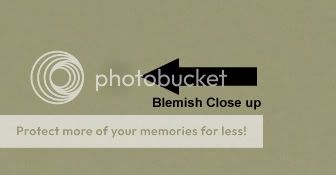 Strange un identified blemish :-( - The Digital Darkroom: Process ...